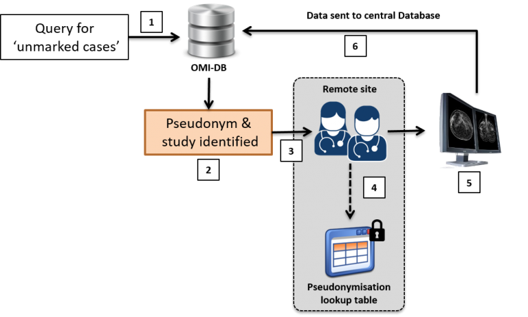 Expert Annotation – OMI-DB